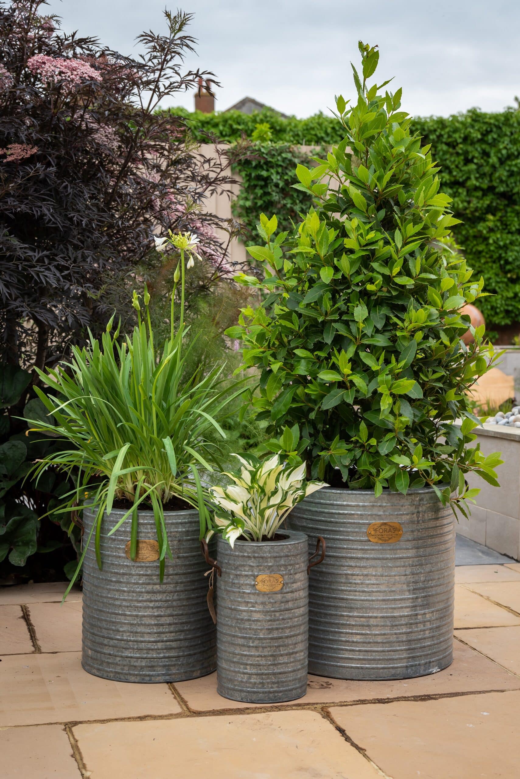 Metal Planter, Burnham | Pots and Planters from Foras