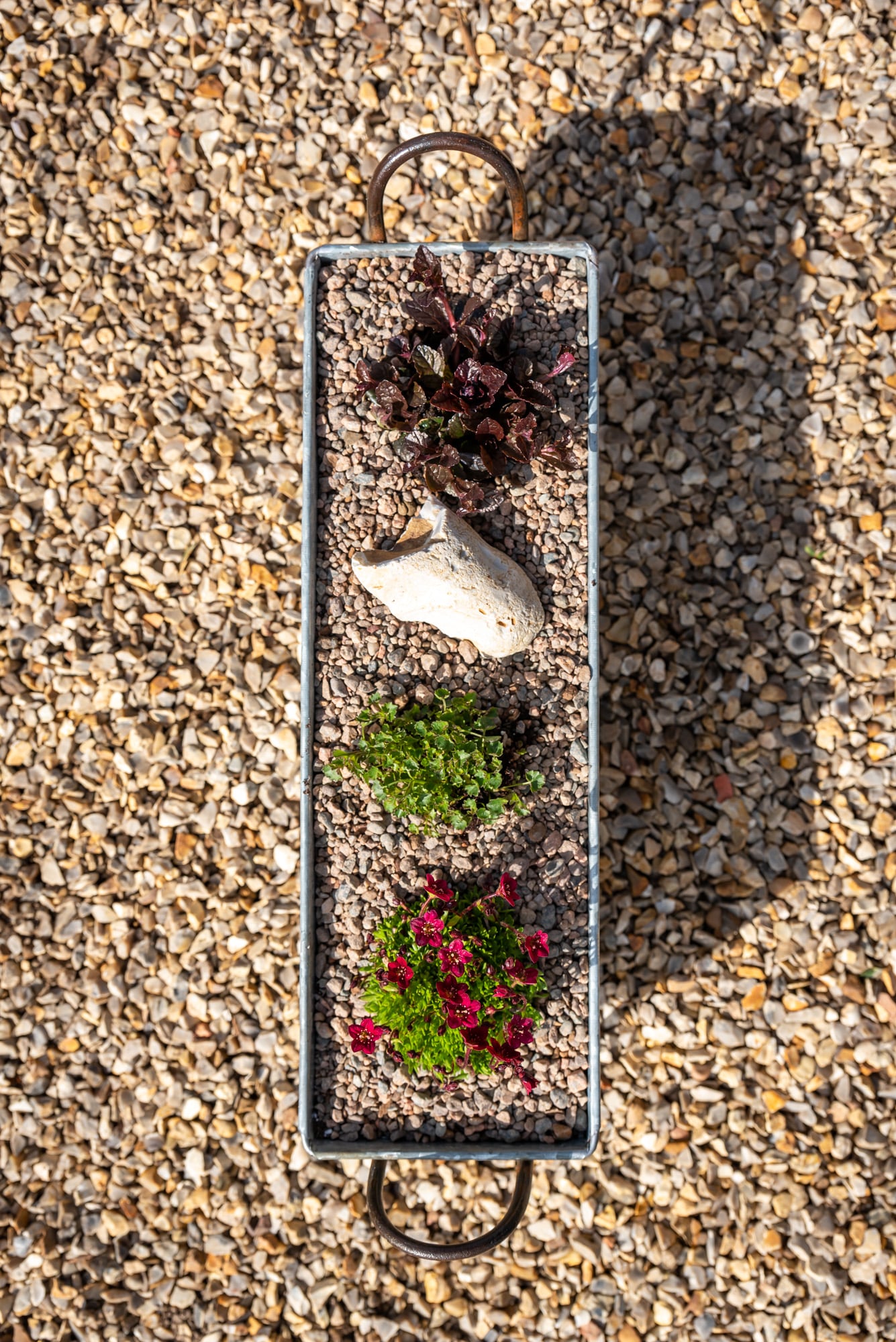 Snuffle Vintage Metal Trough - Set of 2 | Pots & Planters from Foras