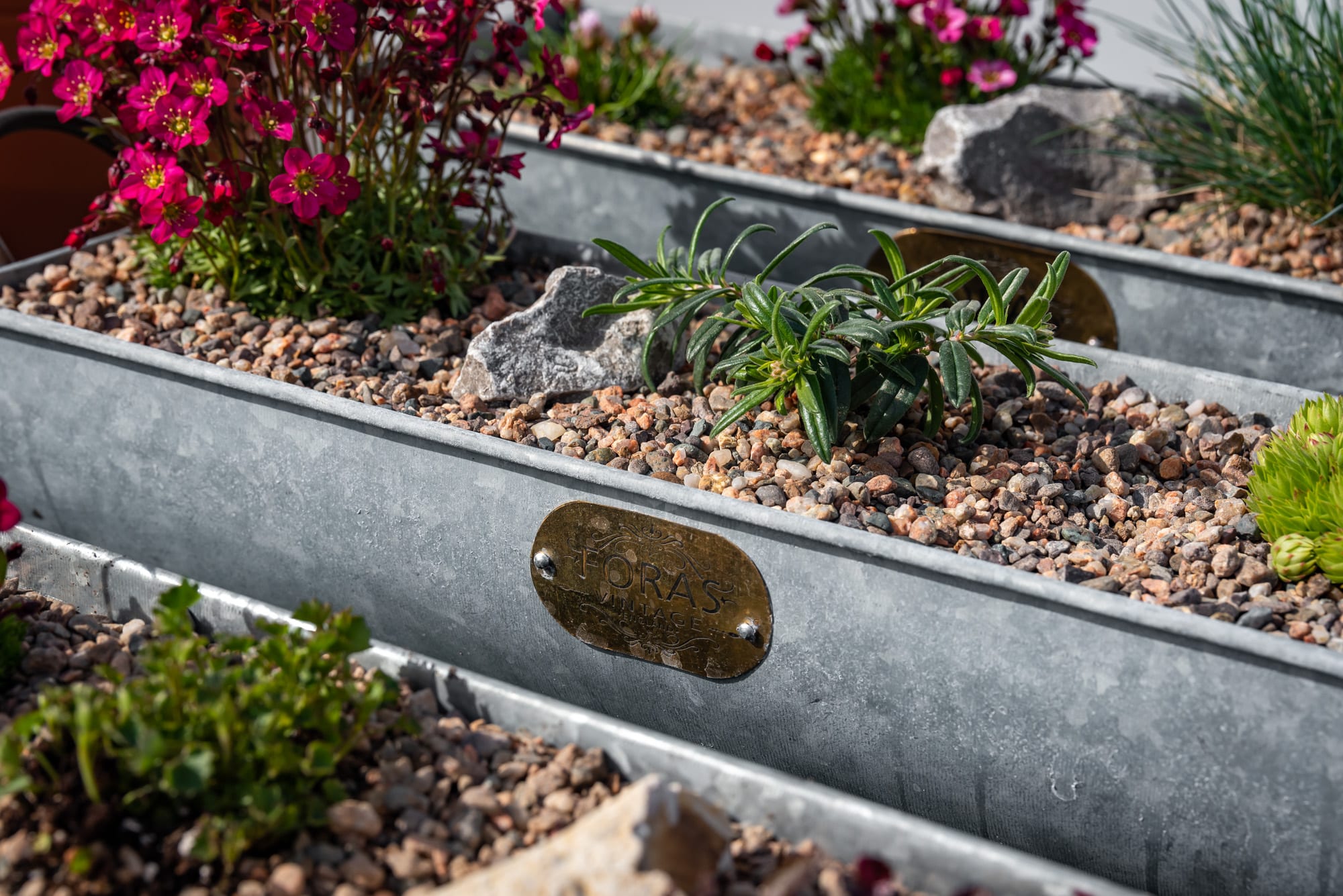 Snuffle Vintage Metal Trough - Set of 2 | Pots & Planters from Foras