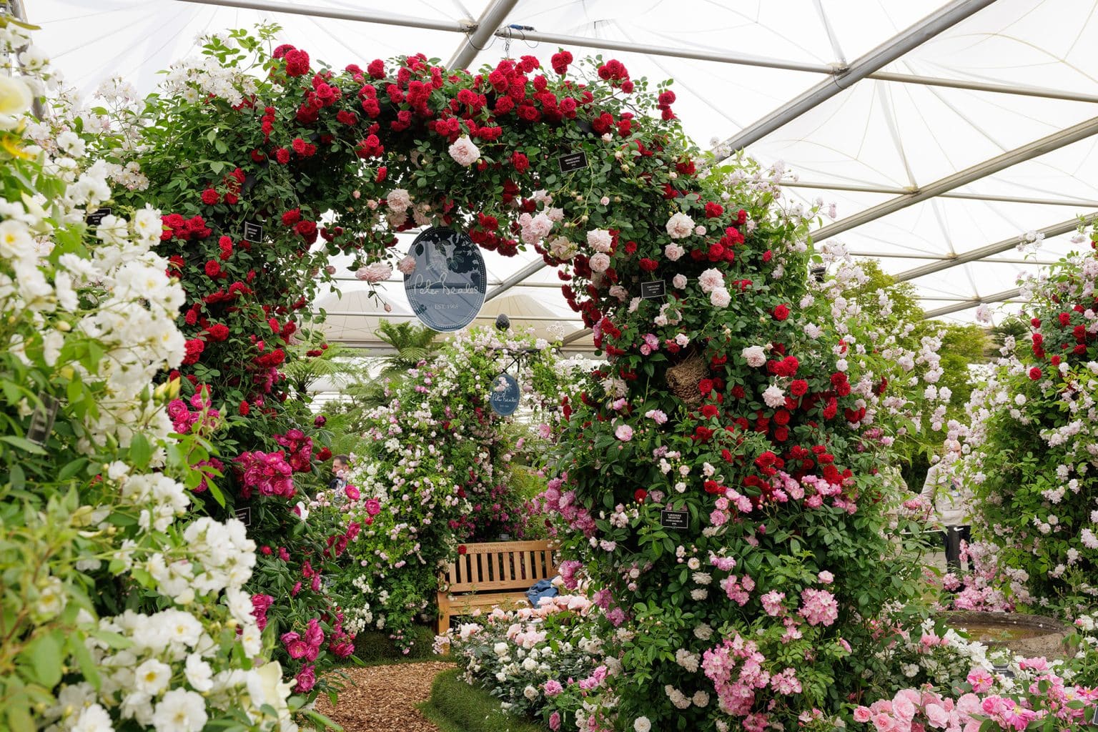 RHS Chelsea Flower Show - Foras